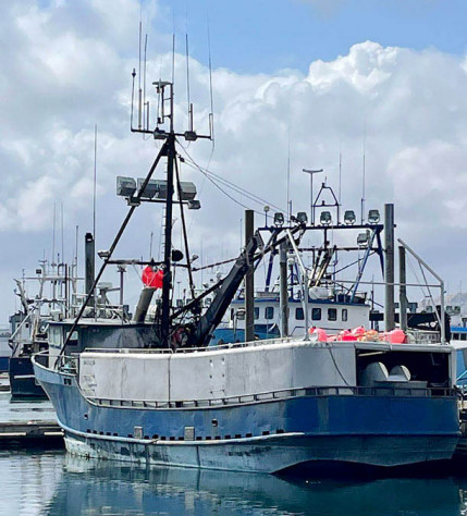 LL24-001 | Dock Street Brokers, Serving Northwest Fishermen since 1976